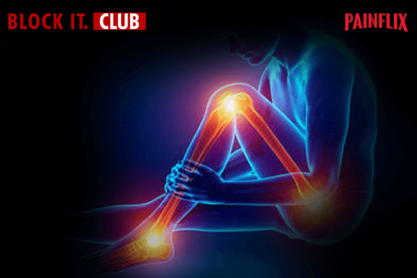 Lower Limb - Masterclass Anatomy & Sono Anatomy - Blockit.club